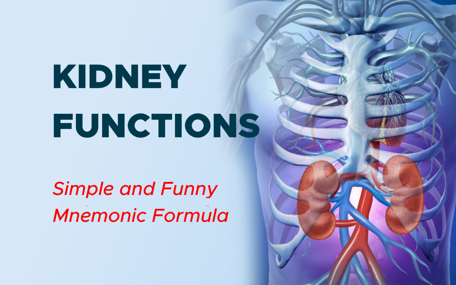 Remember Kidney Functions with Simple and Funny Mnemonic Formula ...