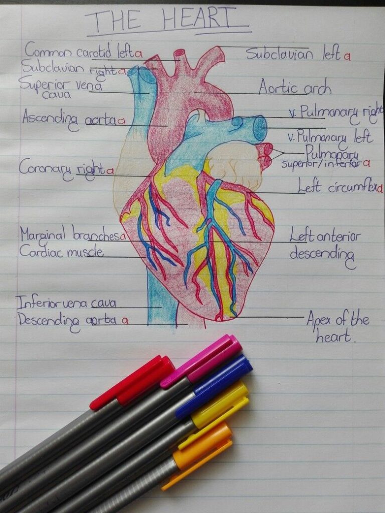 Ten Habits of Highly Successful Medical Students | SurgMedia