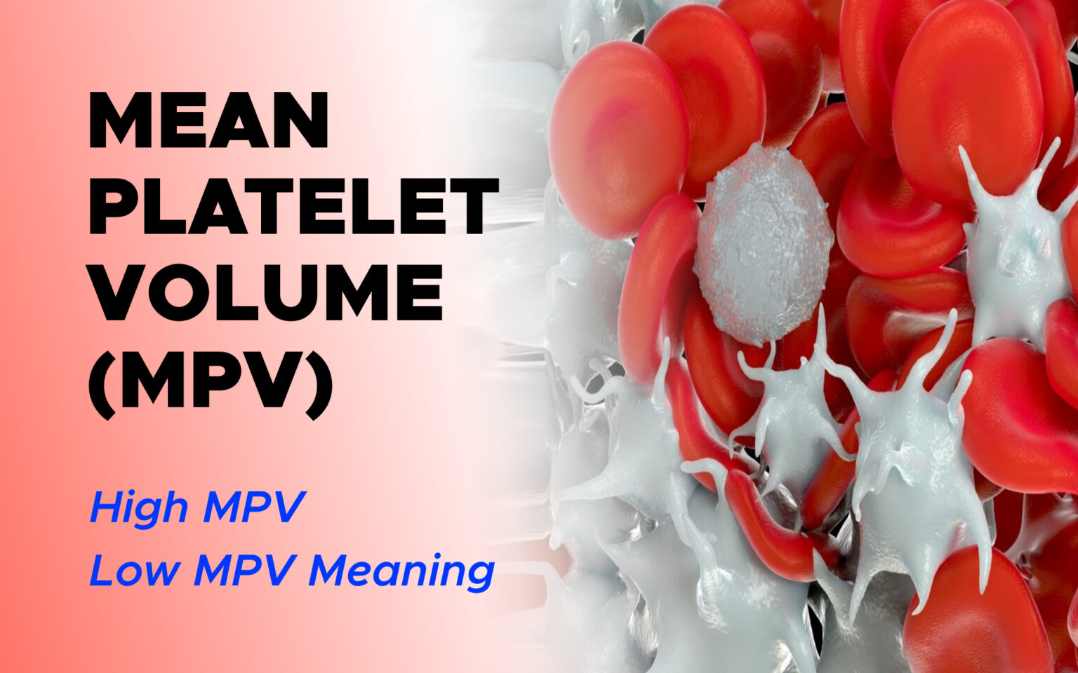 Understanding Mean Platelet Volume (MPV) Blood Test: High MPV, Low MPV ...